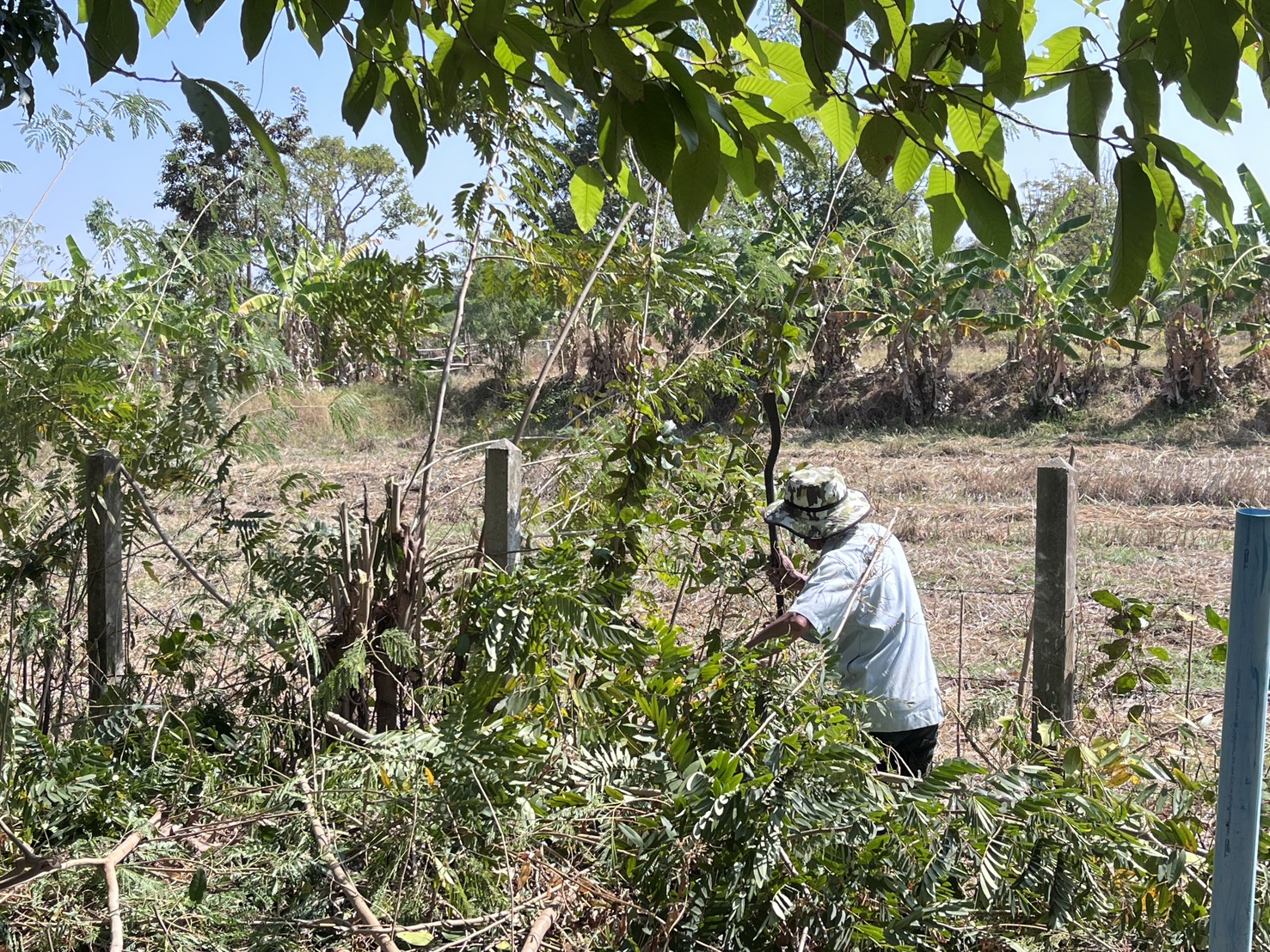 Department of Probation