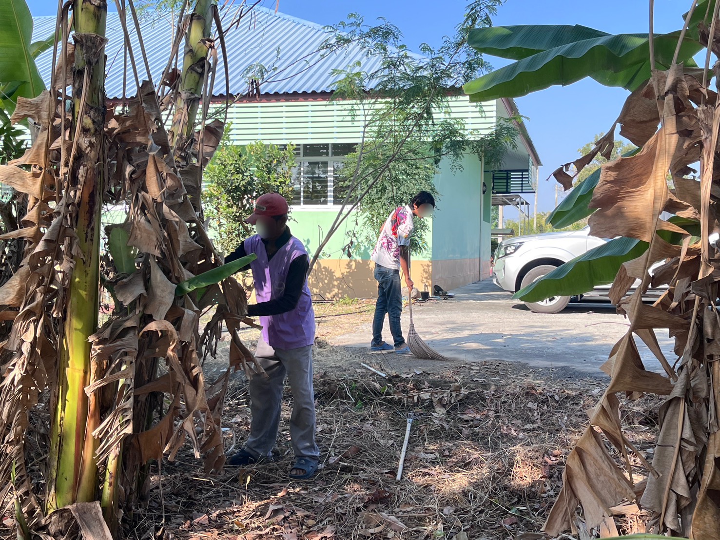 Department of Probation